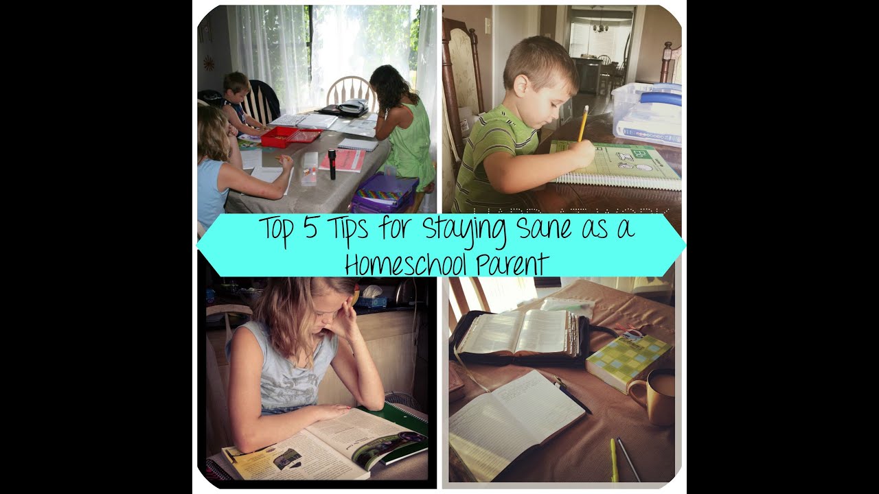 My Top 5 Tips for Staying Sane as a Homeschool Parent | Collab Video!!