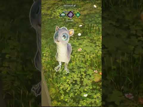 Steam Community :: Video :: Why this animal is this scuffed?!🐾