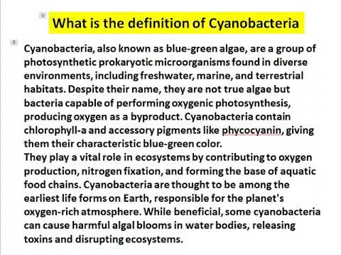 what is the definition of cyanobacteria
