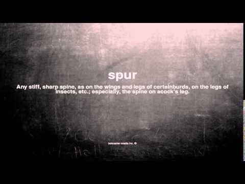 What does spur mean