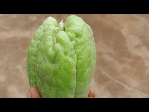 Use this vegetable for your soup to regulate blood pressure