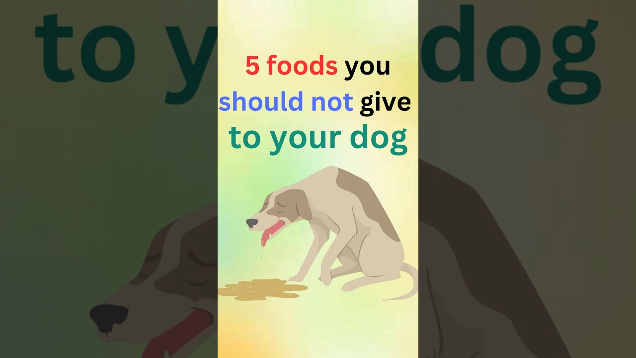 5 foods you should not give to your dog #dogs #dog  #shorts