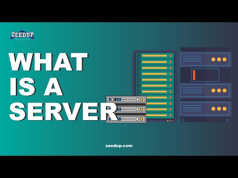 What is a Server ? Animated 2D | Zeedup