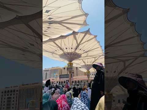 Ridulzannah | Masjidul Nabobi | Madinah #arabic #madinah #umrah2023 #islamicpost #masjidenabvi 🕌
