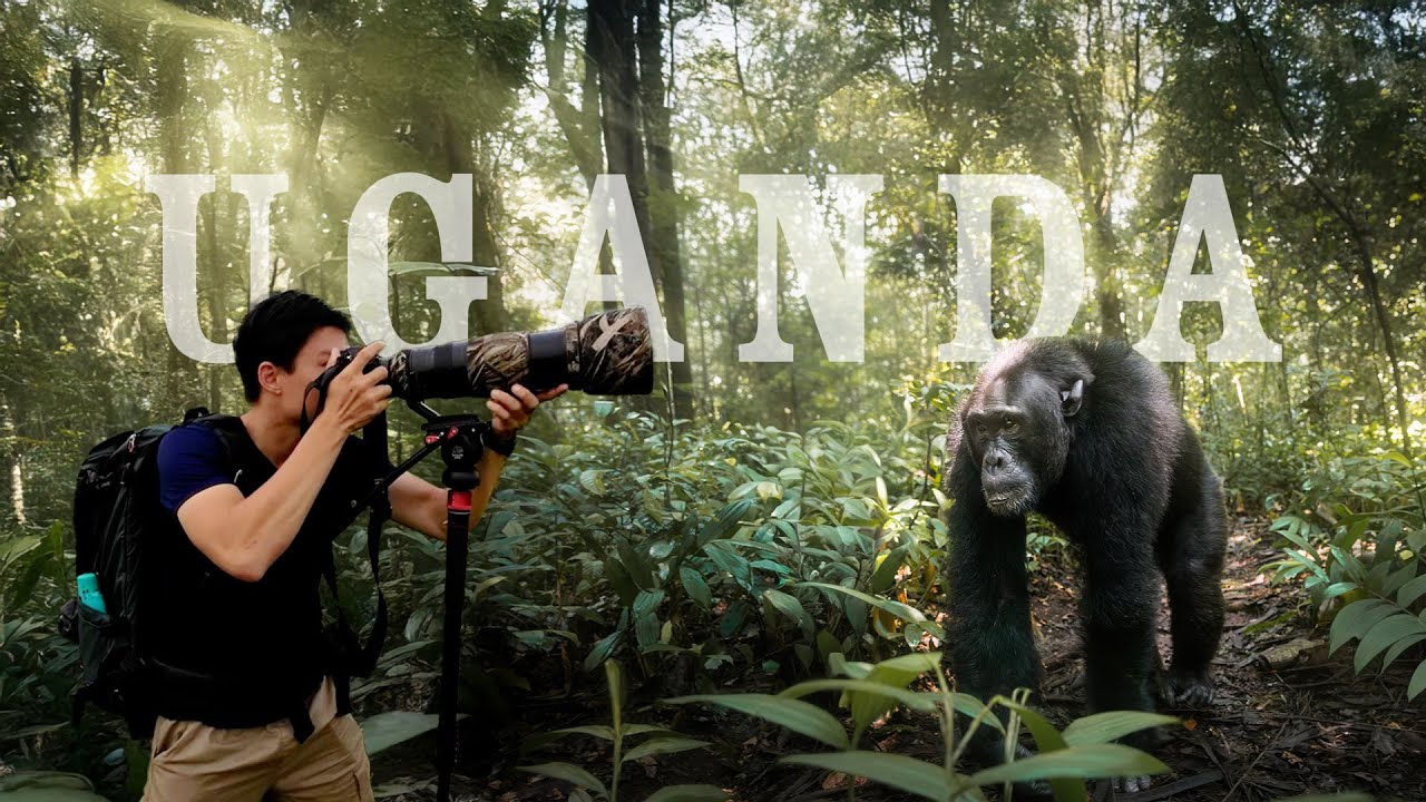 The UGANDA WILDLIFE Safari Guide