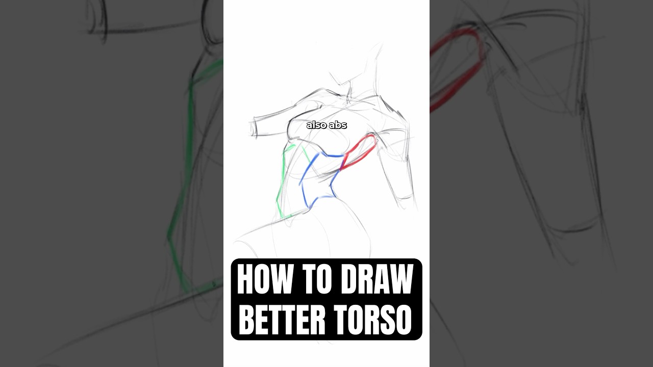 How to Draw Better Torso for Your Characters!!