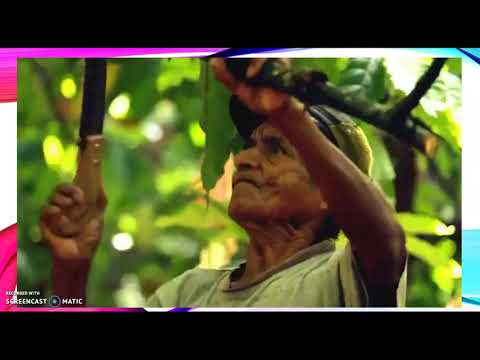 TOMi.digital - RECURSOS LOCALES EN LOS PROCESOS PRODUCTIVOS