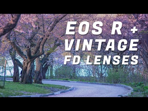 Canon EOS R + FD lenses (3075C003)