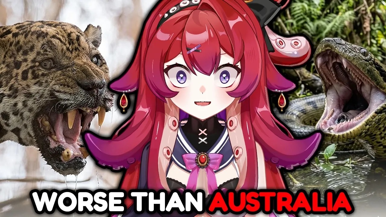 THE AMAZON MAKES AUSTRALIA LOOK LIKE A JOKE..