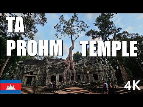 Ta Phrom Temple, Siem Reap, Cambodia 4K - Walking Tour - November 2023