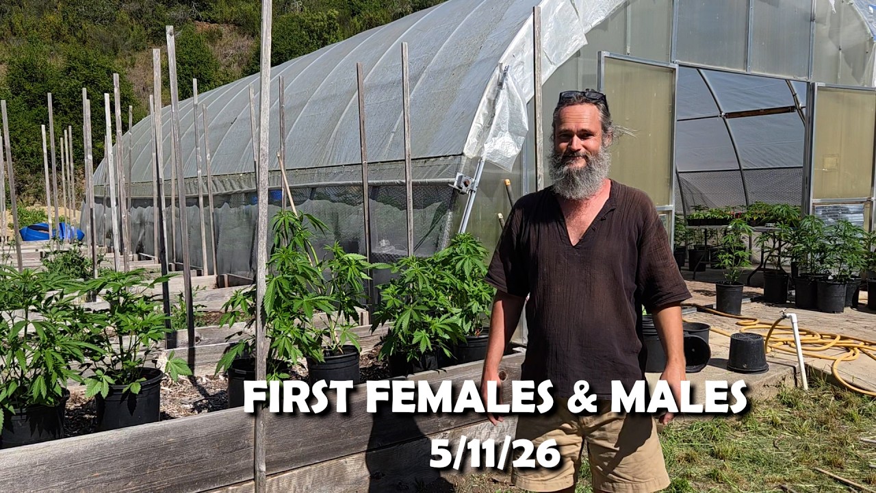 First Females & Males of the Season 5/11/26