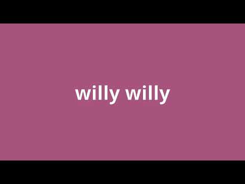 what is the meaning of willy willy