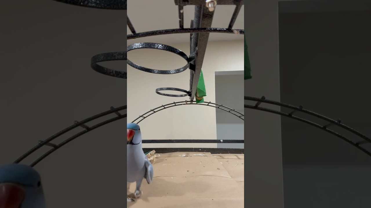 i love you💙 #iloveyou #love