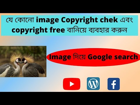 Check any image copyright and use copyright free,Image দিয়ে google search করুন, copyright free image