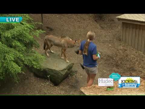 Perkins Wildlife Center