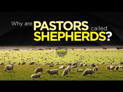 Why Are Pastors Called Shepherds?
