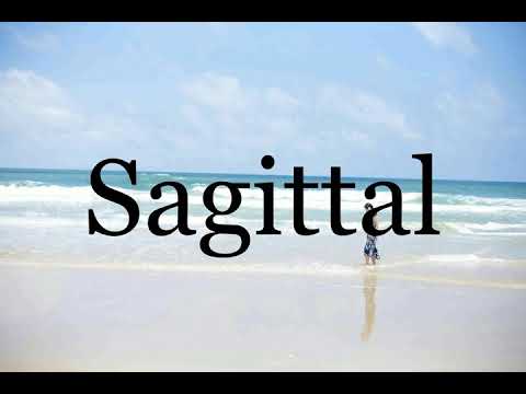 How To Pronounce Sagittal🌈🌈🌈🌈🌈🌈Pronunciation Of Sagittal
