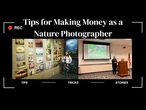 4 Tips for Making Money as a Nature Photographer