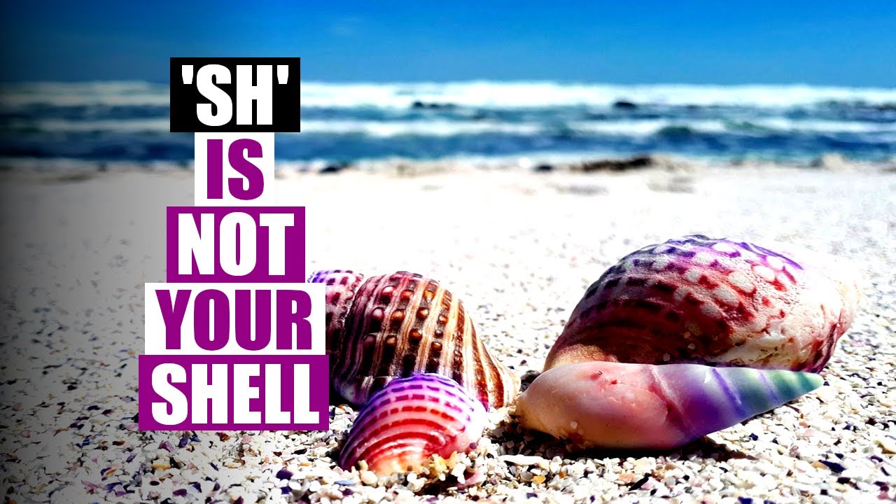 The Confusion With Linux Shells