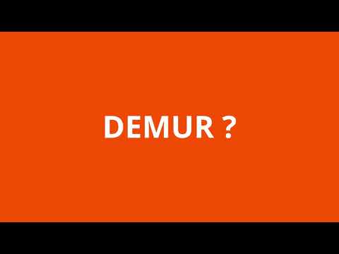 DEMUR | MEANING | IMPROVE VOCAB