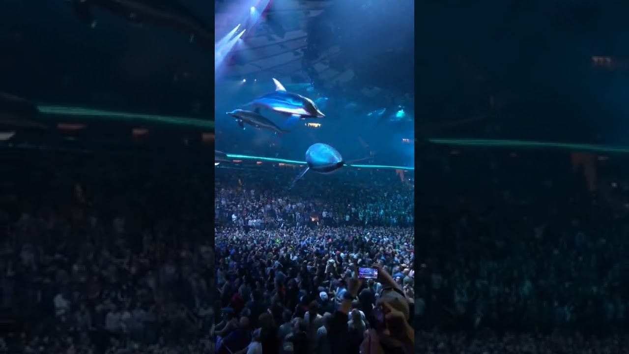 Holographic Show MSG #show #amazing #news #fun #bluebeam