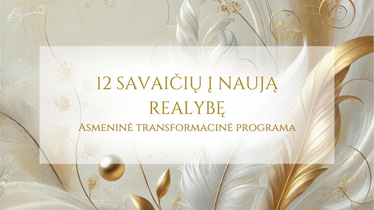 12 Savaičių į Naują Realybę | Rejus
