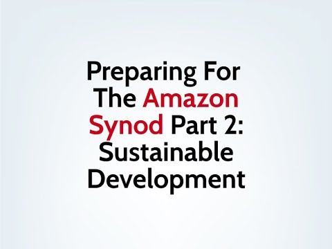 Preparing For The Amazon Synod Part 2: Sustainable Development – RETURN ...