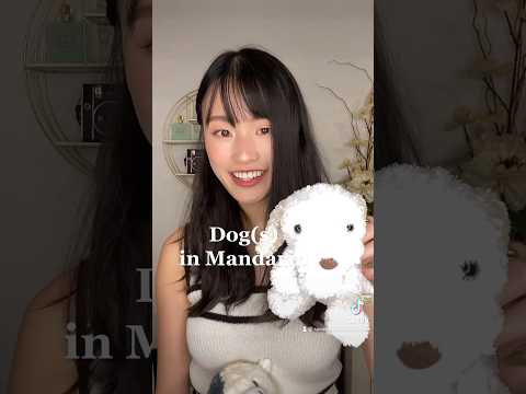 How to Say “Dog” 🐶 in Mandarin Chinese | Cheryl Goer