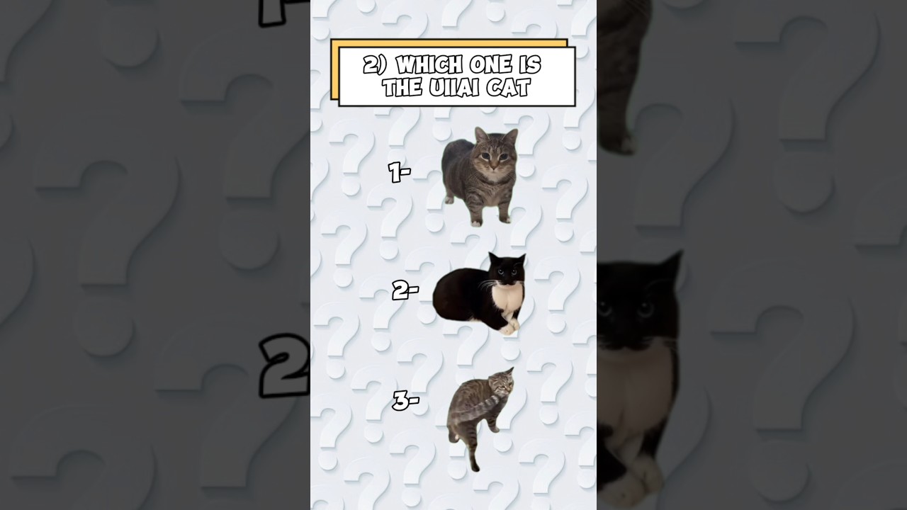 Test Your Meme Knowledge
