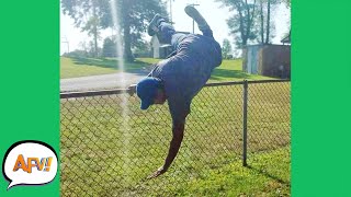 faze comice de ras - faze tari