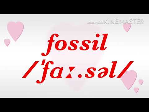 Fossil