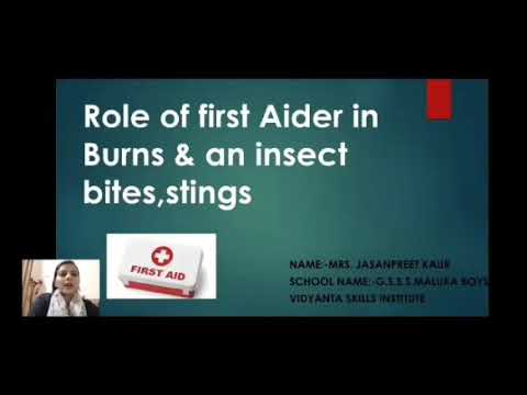 PPT on Role of first Aider in Burns & an insect bites,stings