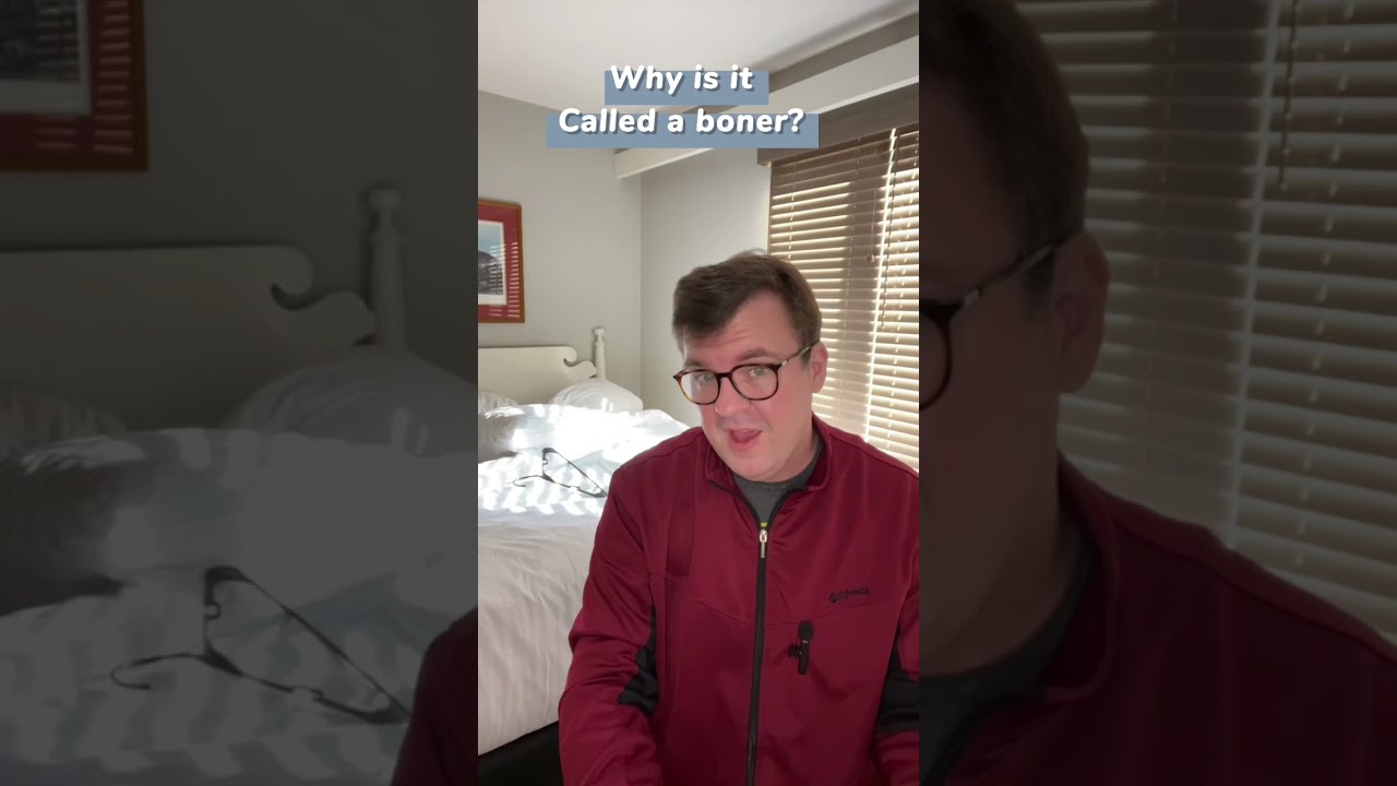 Why do we call an erection a boner, and other lessons about evolving erections?