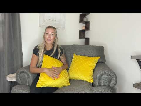 Review of BeBen Pack of 2 Velvet Throw Pillows Sofa Decorative Throw Pillow Covers 16x16 Soft Solid