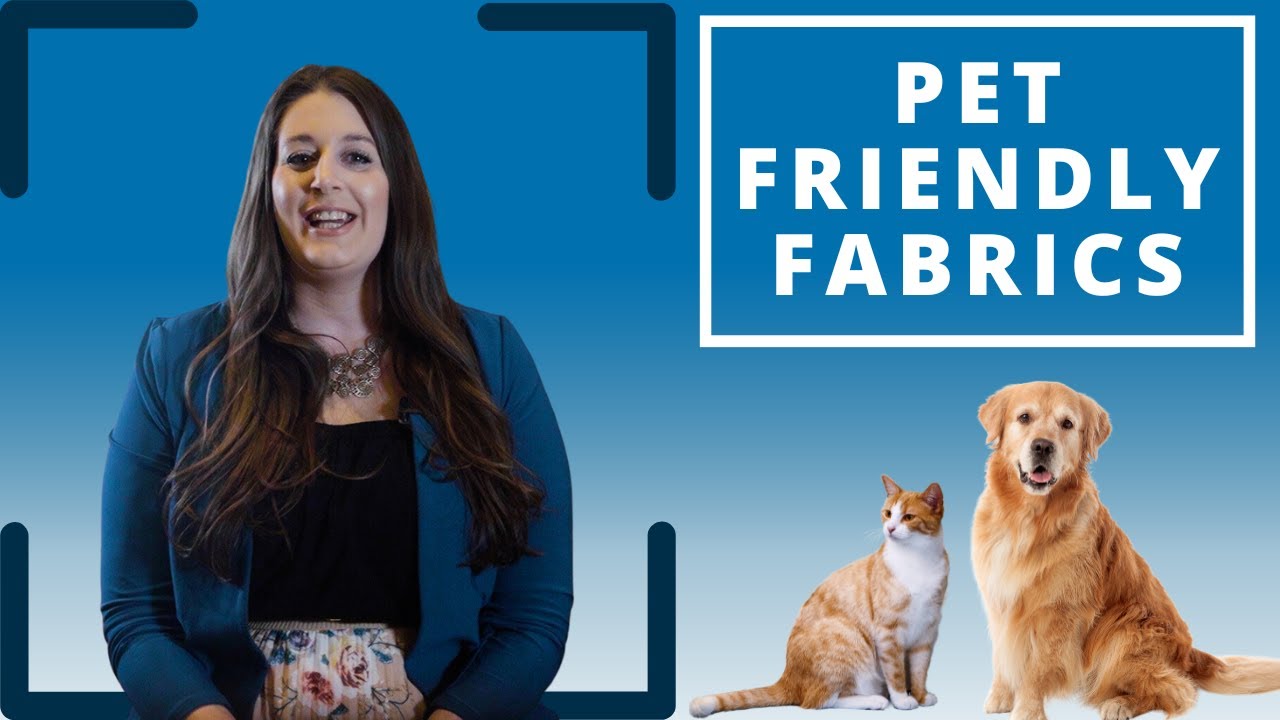 Is Pet Friendly Fabric Right For You?