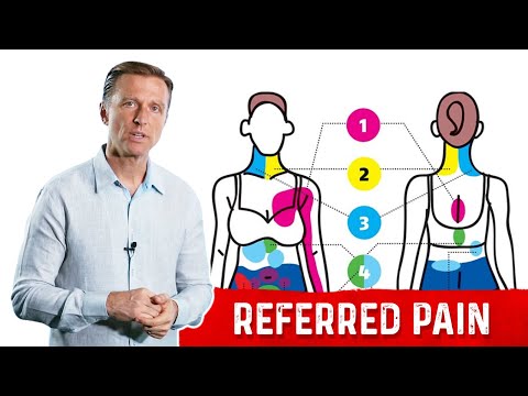 Most Pain is Referred Pain – Explained By Dr. Berg