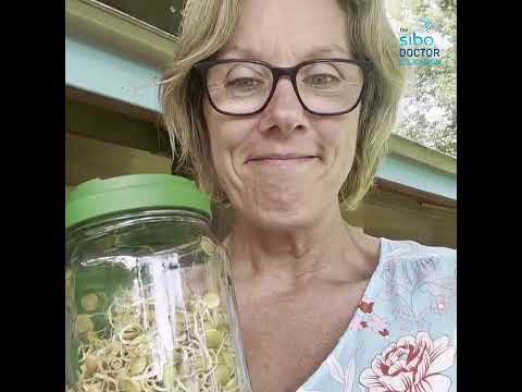 DIY DAO: How to Make Your Own Rich Histamine-Busting Lentil Sprouts