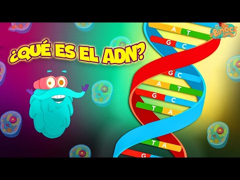 ¿Qué Es El ADN? | Vídeo Educativo útil | Educativos Para Niños 2024 | Ciencia Para Niños