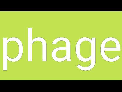Phage Definition & Meaning