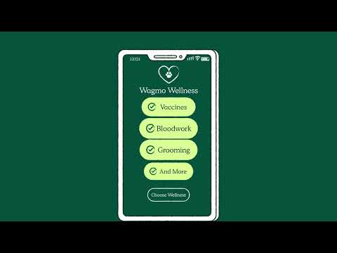 Meet Wagmo, Pet Insurance & Wellness built for pet parents