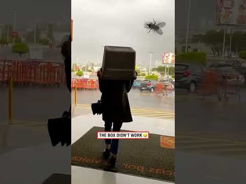 Epic Fails #10 / #tiktok #funny #dontlaught #trynottolaugh