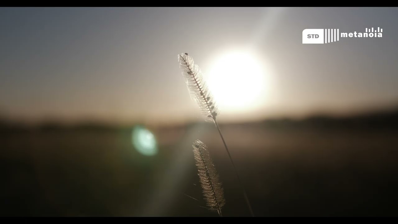 Quero Mais Perto Estar | Hinário Moderno