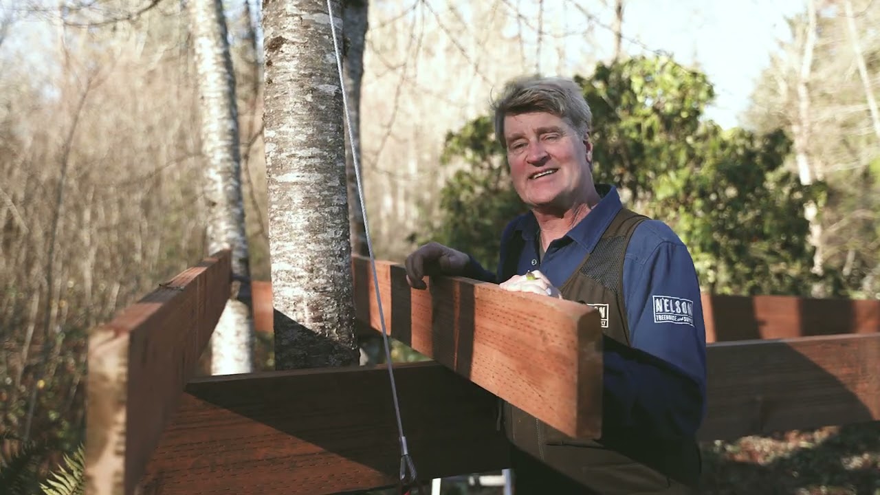 How to Plan & Layout the Joist Layer of a Small Treehouse Platform