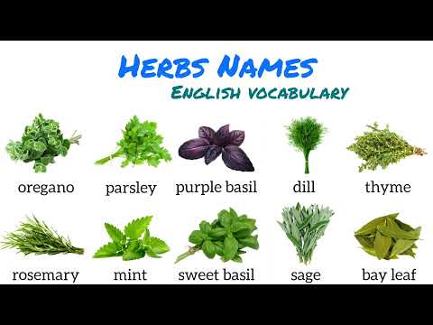 Herbs Names | Herb | Improve and expand your English vocabulary | Practice English vocabulary #esl