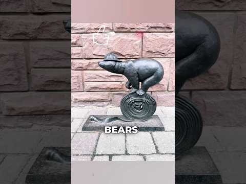 Hey, I visited the only city in Europe with a bear trail! #bialystok
