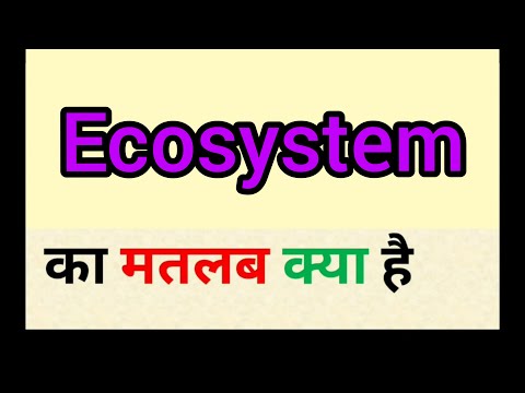 Ecosystem meaning in hindi | ecosystem ka matlab kya hota hai | word meaning English to hindi
