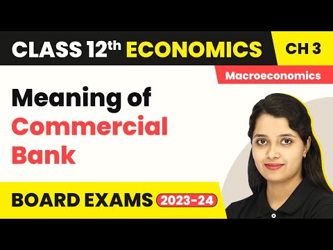 Meaning of Commercial Bank - Money And Banking | Class 12 Macroeconomics 2022-23