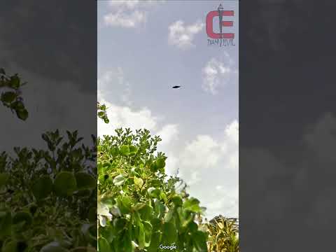 OVNI Captado por Google Maps sobre el Misterioso Triángulo de las Bermudas 🛸🚨