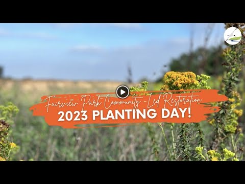 Coastal Sage Scrub Planting Day | Fairview Park, Costa Mesa Community Led Restoration Project
