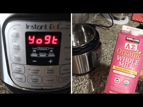 INSTANT POT Thick, Creamy, Non slimy YOGURT|Cold Start Method|PIP|USA Tamil Vlog|A2 Milk Yogurt